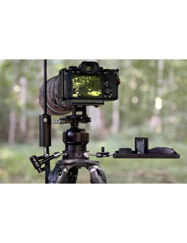 Plaque support bras magique